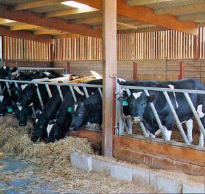 Agricultural Buildings - Challow Range - Severn Valley Woodworks